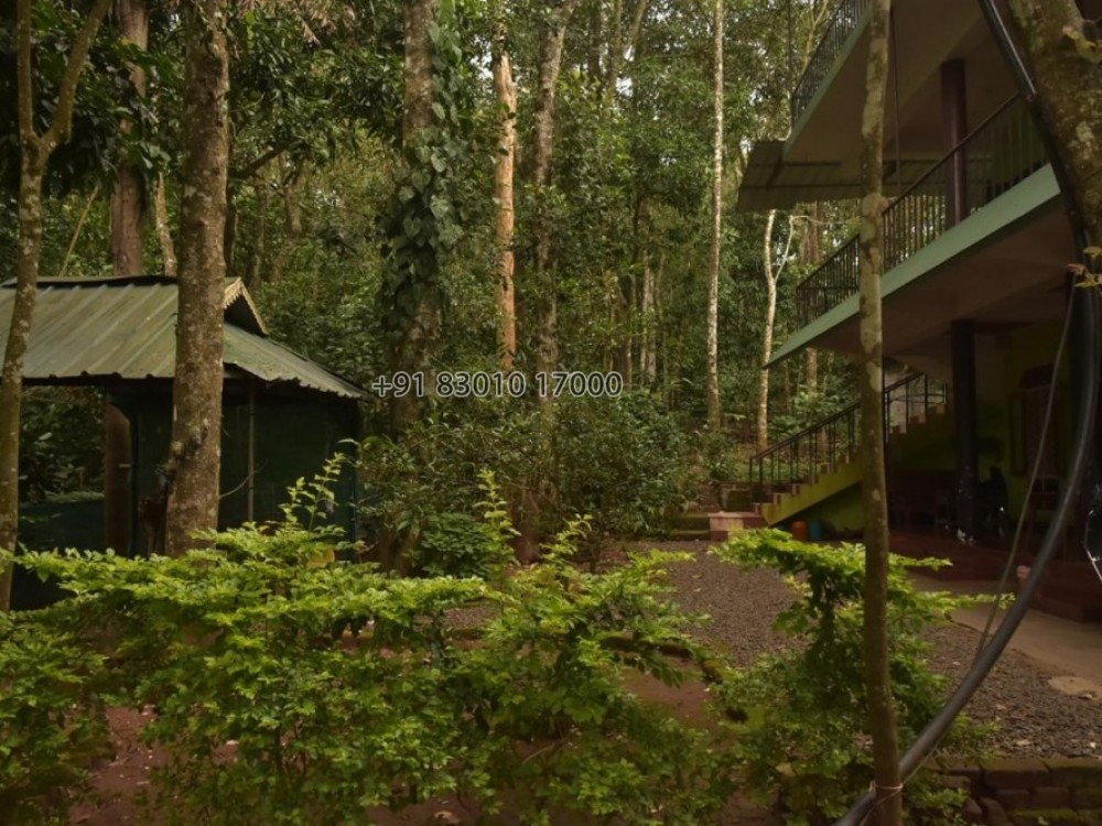 A beautiful homestay on the edge of forest - Kumily - Hosted by sumesh ...